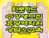 타로카드 배열 법 5장 10장 카드 배열 방법 딜레마켈틱 크로스 네이버 블로그